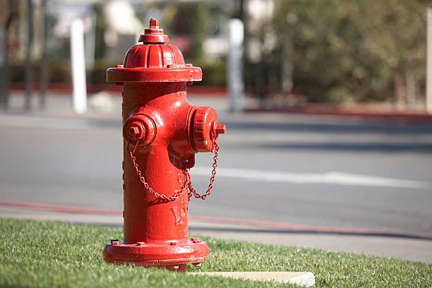 The Fire Hydrant - Salt Lake Paws